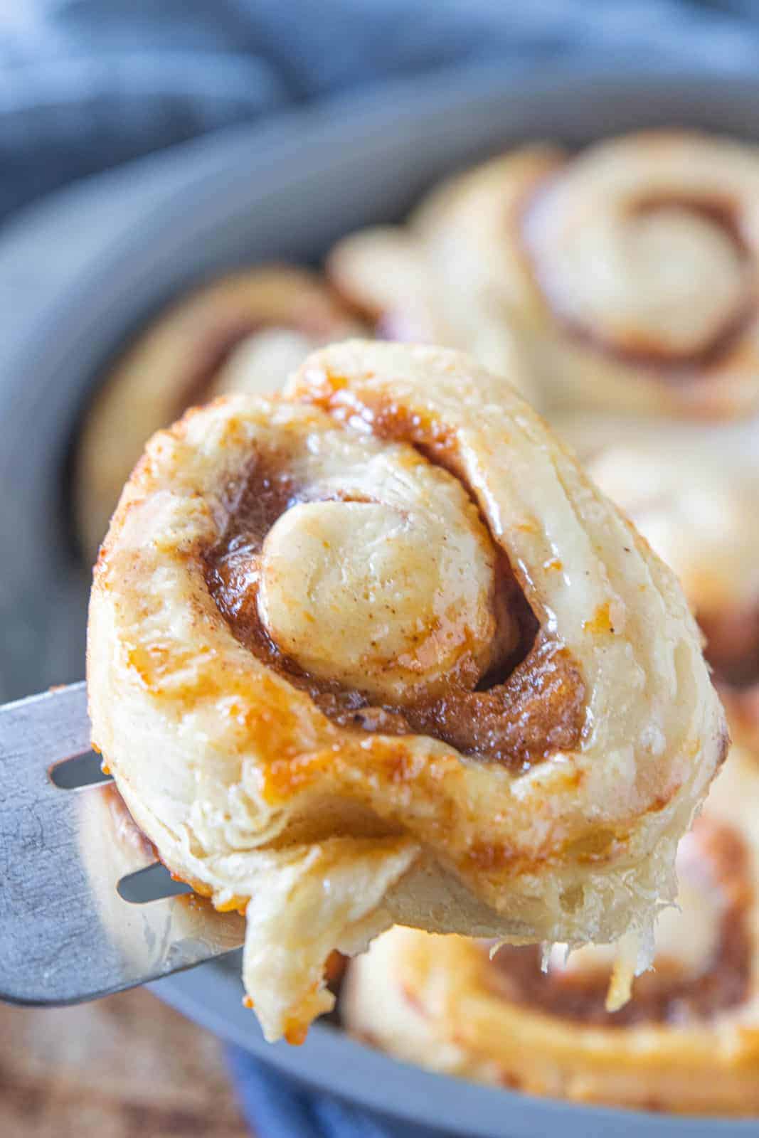 Easy Pumpkin Cinnamon Rolls - Salt & Sprinkles
